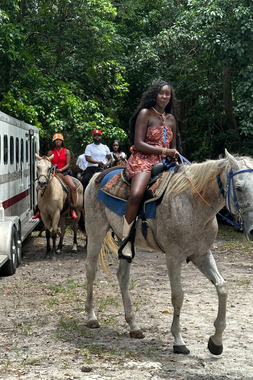 Miami: Horseback Riding in South Beach - What to Expect During the Tour