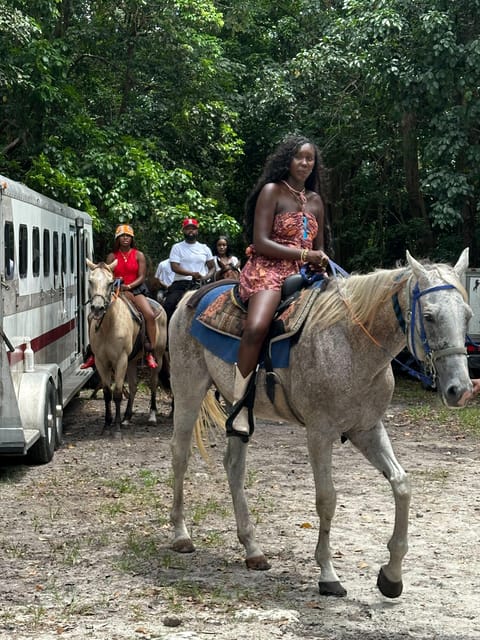 Miami: Horseback Riding in South Beach - Authenticity and Sustainability