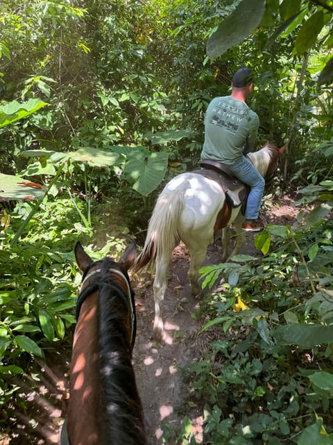 Miami: Horseback Riding in South Beach - Final Thoughts