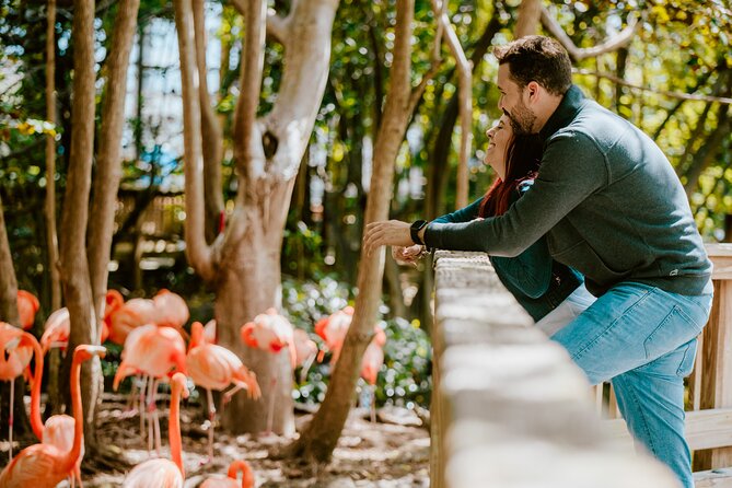 Miami: Jungle Island General Admission Ticket - Key Points