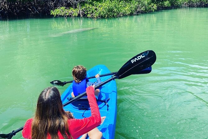 Miami Kayak and Paddleboard Rentals in Virginia Key - Who Will Love This Tour?