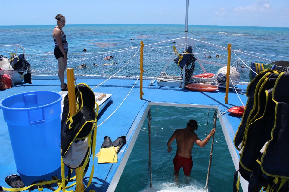 Miami: Key West Boat Tour w/ Optional Snorkeling & Open Bar - Miami: Key West Boat Tour w/ Optional Snorkeling & Open Bar Review