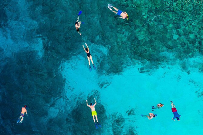 MIAMI: Key West Dolphin Watch Tour and other options - Practical Tips for a Smooth Experience