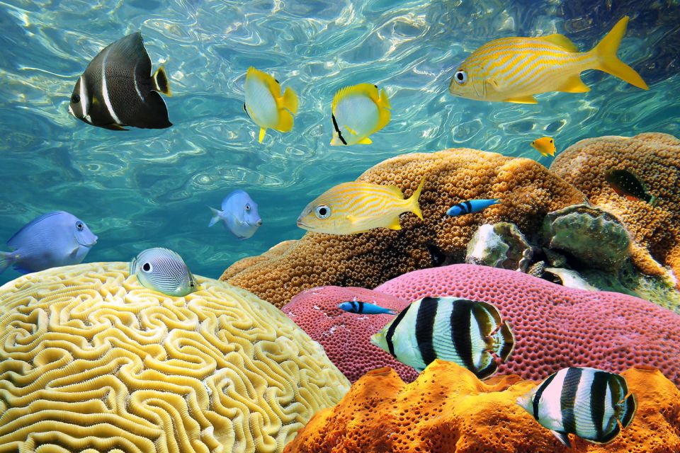 Miami: Key West with Catamaran Tour, Drinks, and Free Time - Authentic Insights and Traveler Experiences