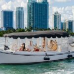 Miami: Luxury E-Boat Cruise with Wine and Charcuterie Board - The Perfect Audience for This Tour