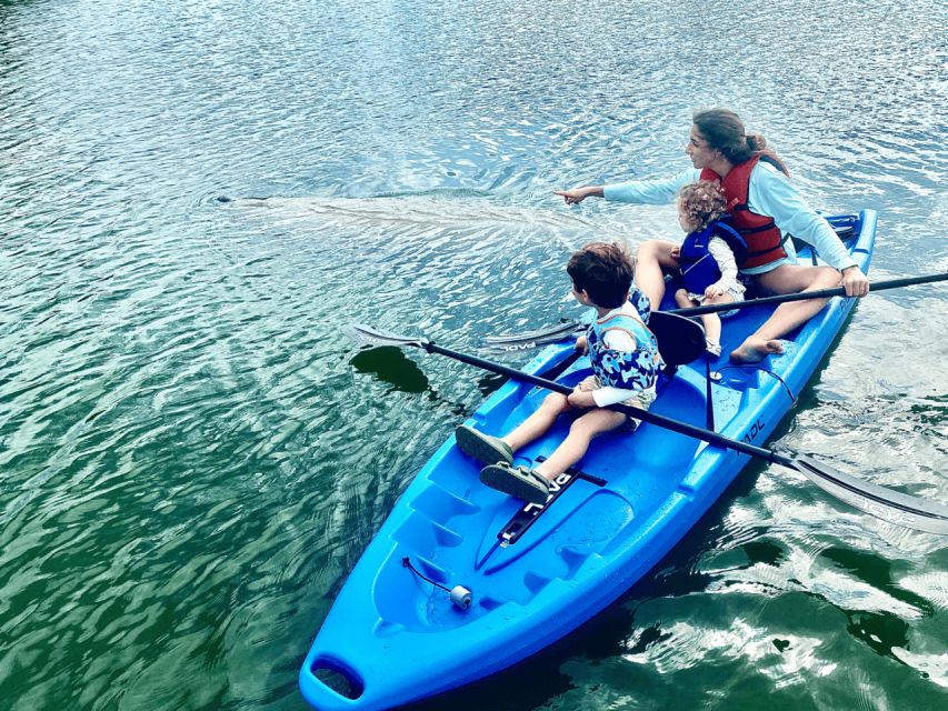 Miami: Manatee Season Paddleboard or Kayak Tour - Key Points
