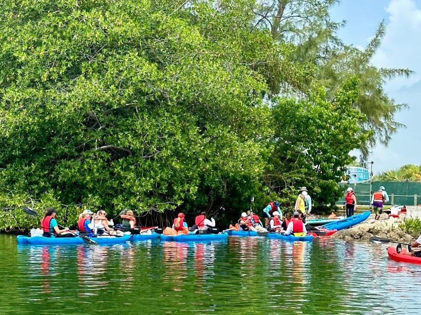 Miami: Manatee Season Paddleboard or Kayak Tour - Detailed Breakdown of the Itinerary
