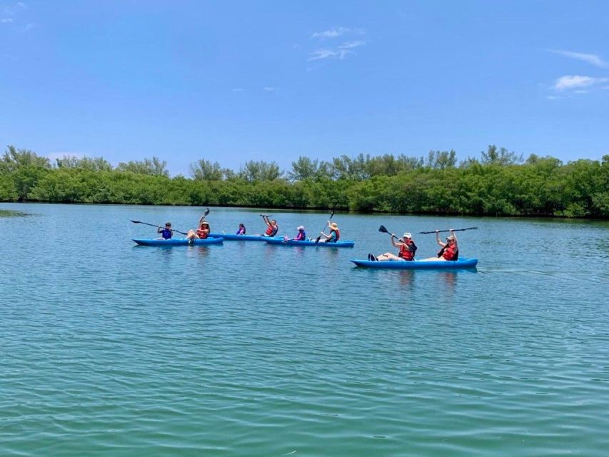 Miami: Manatee Season Paddleboard or Kayak Tour - What’s Included and Why It Matters