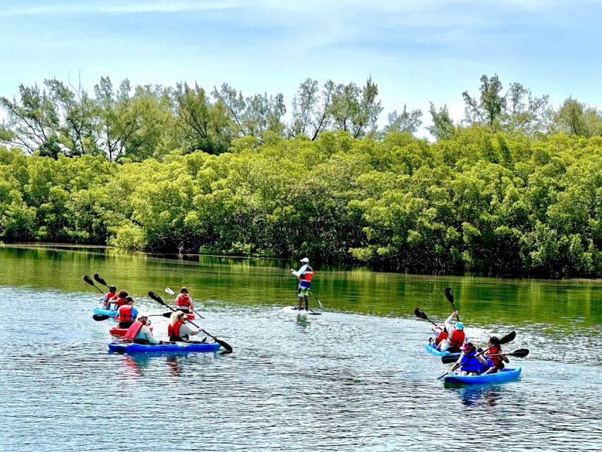 Miami: Manatee Season Paddleboard or Kayak Tour - Practical Considerations