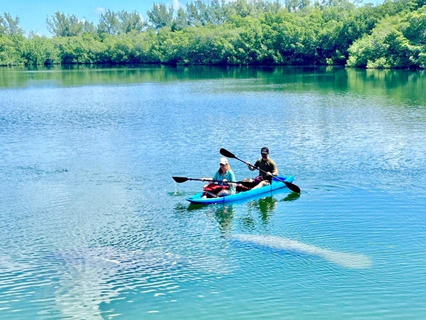 Miami: Manatee Season Paddleboard or Kayak Tour - Authentic Experiences from Reviewers