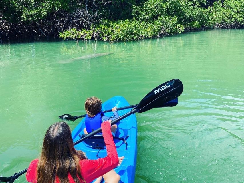 Miami: Manatee Season Paddleboard or Kayak Tour - Who’s This Tour Best For?