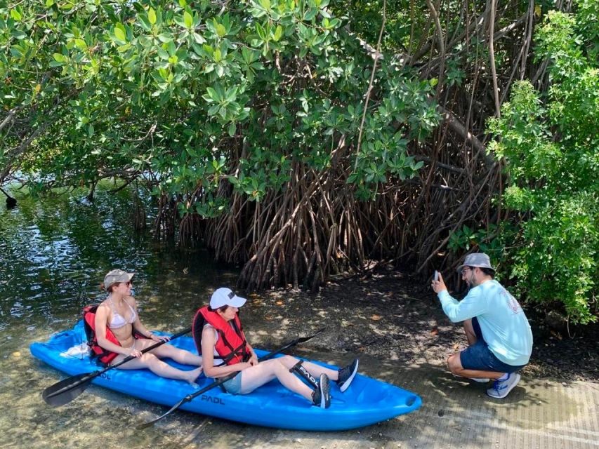 Miami: Manatee Season Paddleboard or Kayak Tour - The Sum Up: Why This Tour Is a Real Value