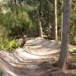 Miami Mountain Biking in Virginia Key Trails - Who Will Love This Tour?