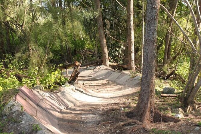 Miami Mountain Biking in Virginia Key Trails - Who Will Love This Tour?