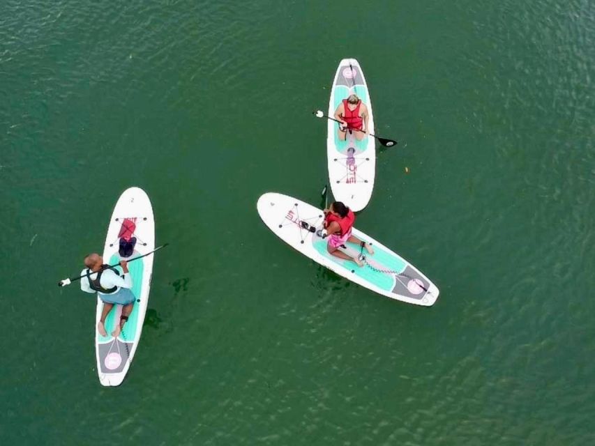 Miami: Paddle Board or Kayak Rental in Virginia Key - Key Points