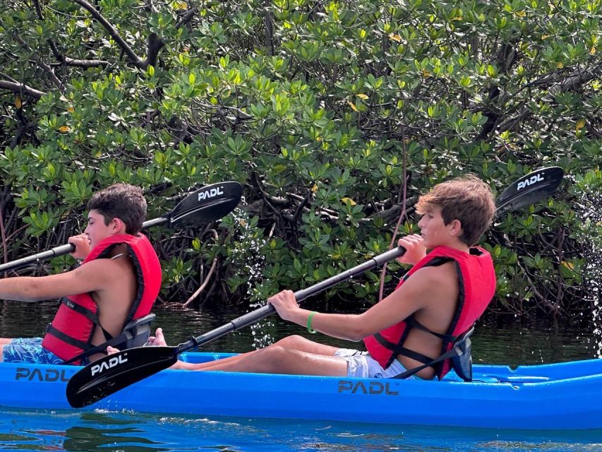 Miami: Paddle Board or Kayak Rental in Virginia Key - Final Thoughts: Who Is This Tour Best For?