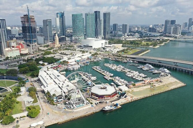 Miami Private Tour in 5 Hours - What Do Reviews Say?