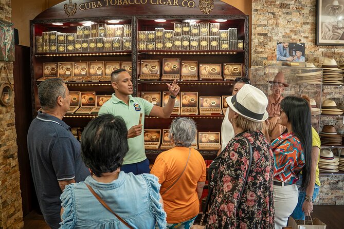 Miami Sightseeing and walking tour: Top Sights & Hidden Gems - Who Is This Tour Best For?