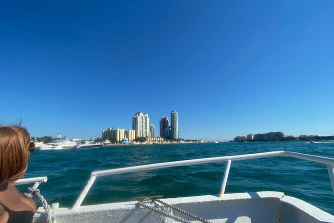 Miami Skyline 75 Minute Luxury Cruise of Millionaire's Homes - Who Will Love This Tour?