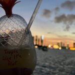 Miami Skyline Sunset Cruise with The Mojito Bar On board - Who Will Love This Cruise?