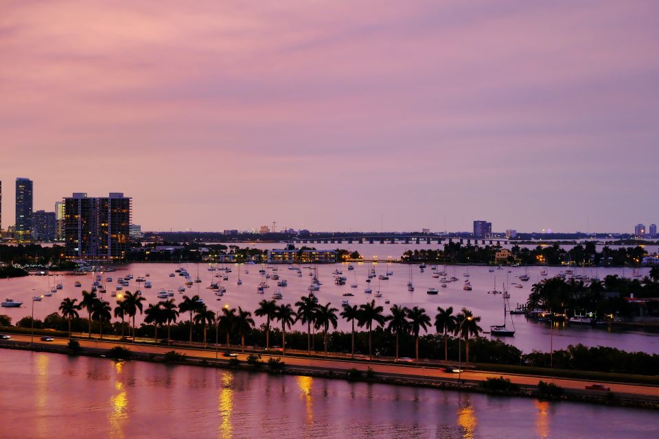 Miami: Small Group Night Tour with Skyviews Wheel Ride - Why This Tour Offers Great Value