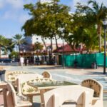 Miami Small Group Tour from Fort Lauderdale w/Millionaire's Row - Practical Tips for Future Travelers