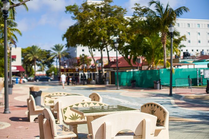 Miami Small Group Tour from Fort Lauderdale w/Millionaire's Row - Practical Tips for Future Travelers