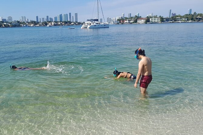 Miami: Snorkeling for Beginners Private Tour - Introduction
