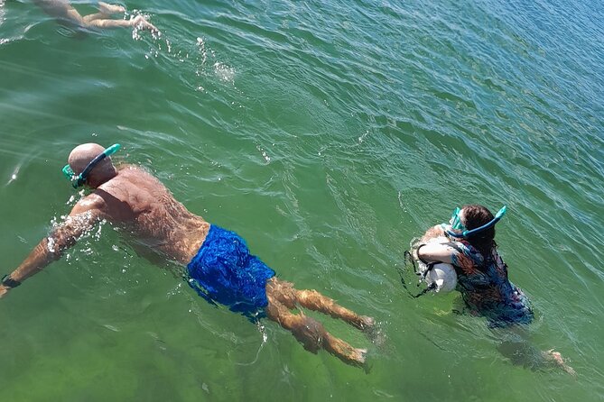Miami: Snorkeling for Beginners Private Tour - What’s Included & What’s Not?