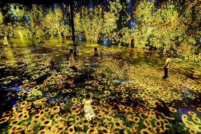 Miami: Superblue Miami Immersive Art Experience Ticket - The Value and Pricing Analysis