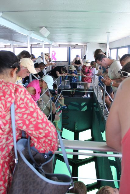 Miami to Key West Shuttle: Dolphin, Snorkeling & More - FAQ