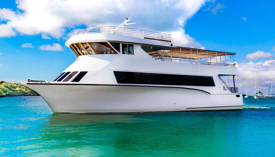 Miami: Triple Combo Swamp, City & Sea exploration - Practical Tips & Considerations
