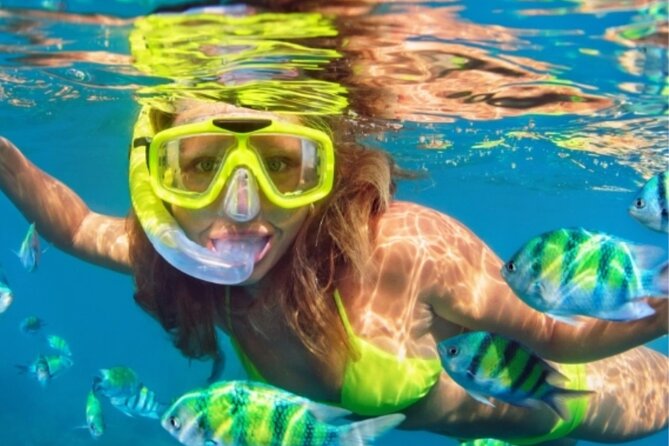 Miami Water Tour with water Activities Included Ocean Playground - Pricing and Value Analysis
