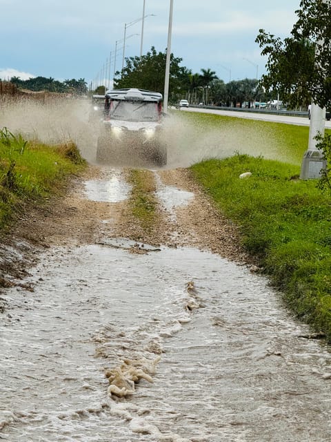 Miami's Ultimate Buggy Adventure on a Honda Talon UTV - Miami’s Ultimate Buggy Adventure on a Honda Talon UTV