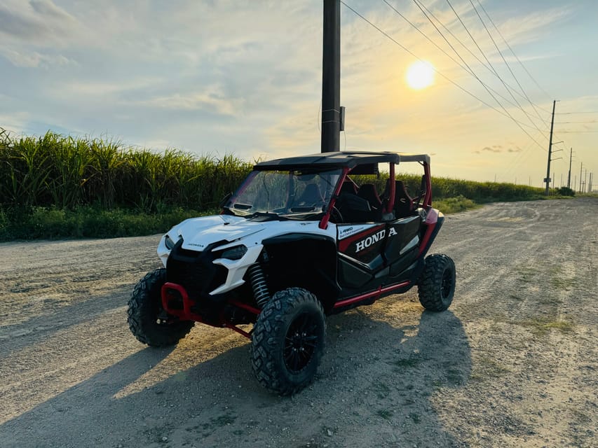 Miami's Ultimate Buggy Adventure on a Honda Talon UTV - An In-Depth Look at the Experience