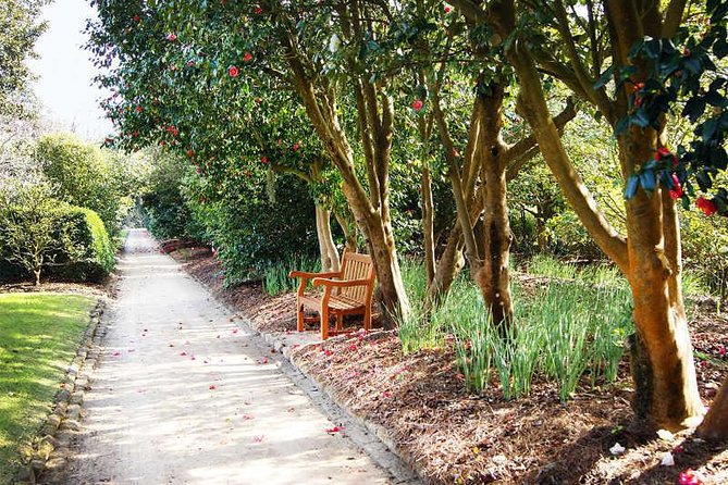 Middleton Place Admission with Self Guided Tour and Lunch - The Tasty Lowcountry Lunch
