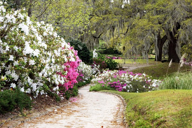 Middleton Place Admission with Self Guided Tour and Lunch - What Reviewers Love Most