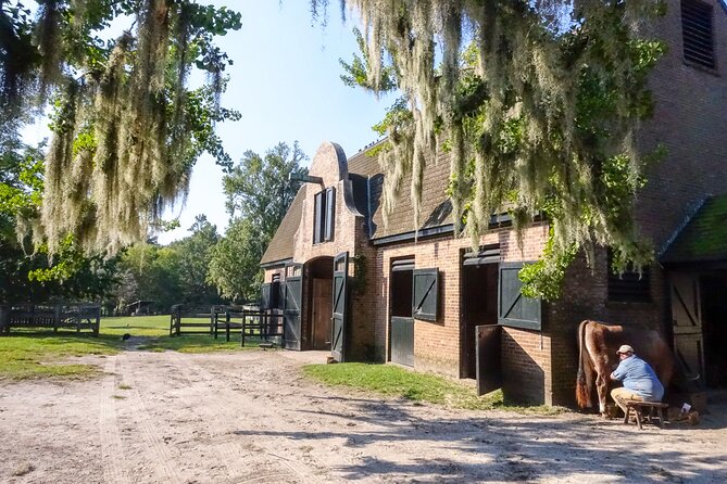 Middleton Place Plantation - 3 hour guided tour - hotel pickup - An In-Depth Look at the Middleton Place Tour