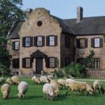 Middleton Place Plantation - 3 hour guided tour - hotel pickup - Practical Details: What You Need to Know