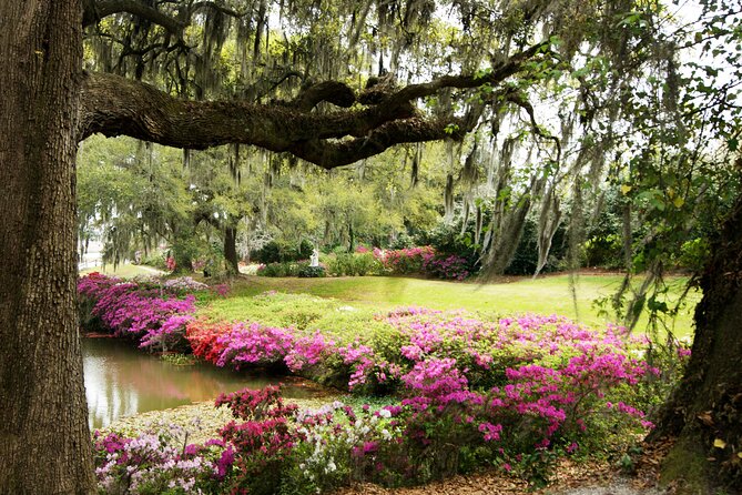Middleton Place Tour with Lunch and Transportation - An In-Depth Look at the Middleton Place Tour