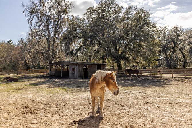Middleton Place Tour with Lunch and Transportation - Final Thoughts