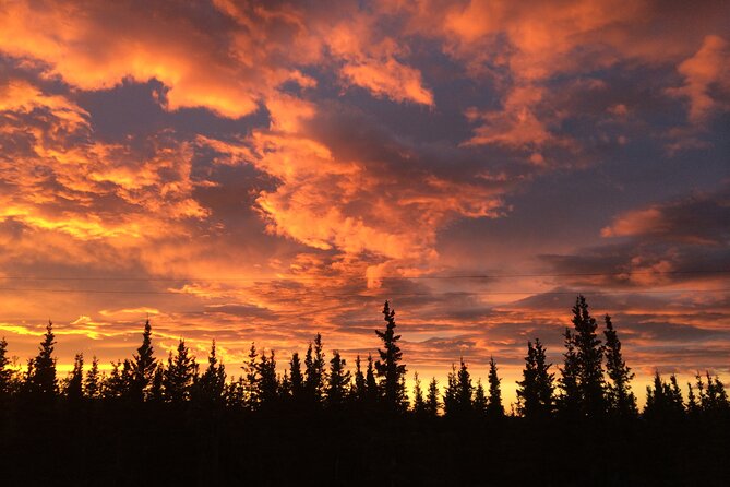 Midnight Sun ATV Adventure 2.5 Hour Tour - A Closer Look at the Midnight Sun ATV Adventure