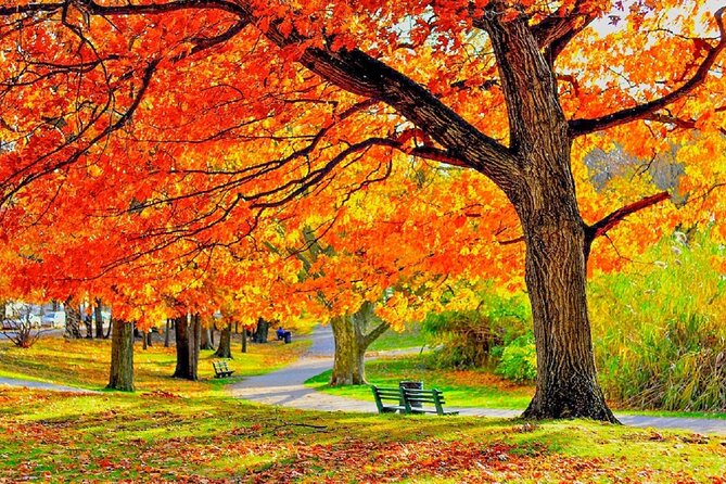 Milwaukee Day Tour from Chicago w/Optional Foliage Season Upgrade - An In-Depth Look at the Tour Experience
