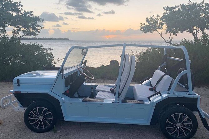 Mini Moke Rental on Marco Island - Key Points