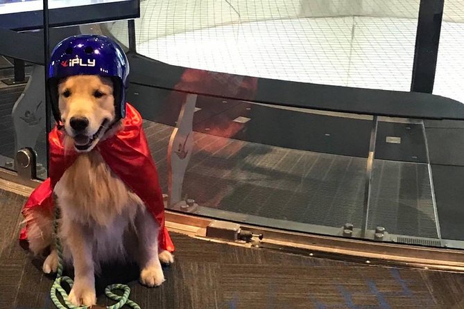 Minneapolis Indoor Skydiving Admission with 2 Flights & Personalized Certificate - FAQ