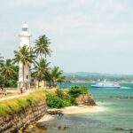 Mirissa Whale watching, Stilt Fishing & Turtle Tour From Colombo - The Itinerary: What to Expect at Every Stop