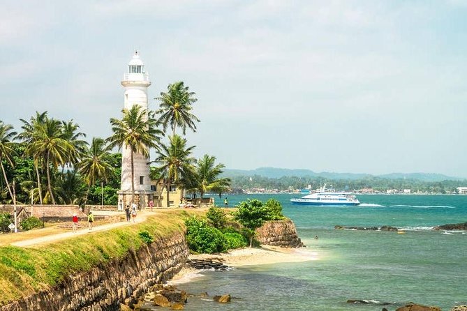 Mirissa Whale watching, Stilt Fishing & Turtle Tour From Colombo - The Itinerary: What to Expect at Every Stop
