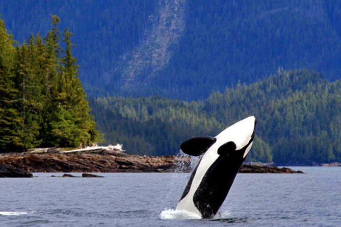 Misty Fjords Expedition - 6 Passenger Boat - Final Thoughts: Is This Tour Right for You?