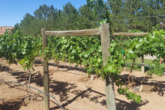 Moab Back Roads, History and Winery E-Bike Tour - What You’ll Experience Step-by-Step