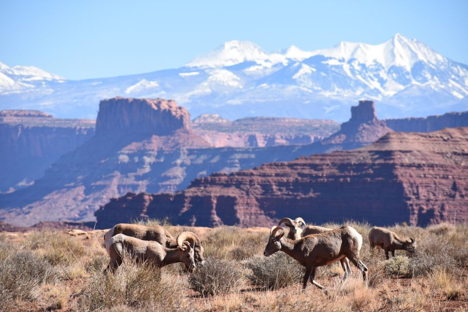 Moab: Canyonlands National Park 4x4 White Rim Tour - Who Will Love This Tour?